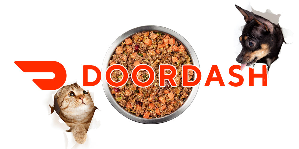 Natural Dog Food and Pet Supplies - Great Prices and Fast Delivery ...